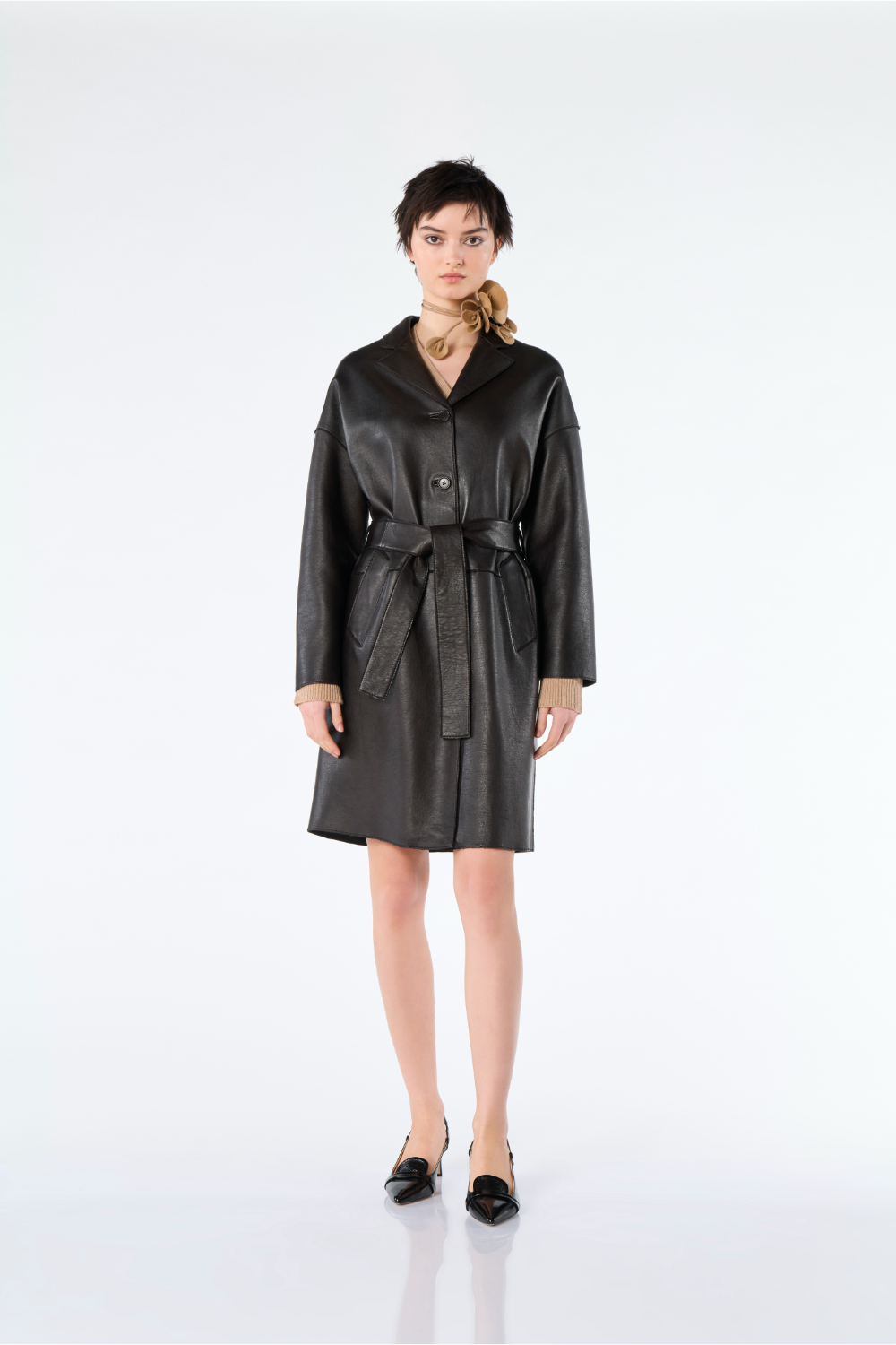 Home page [www.parosh.com]